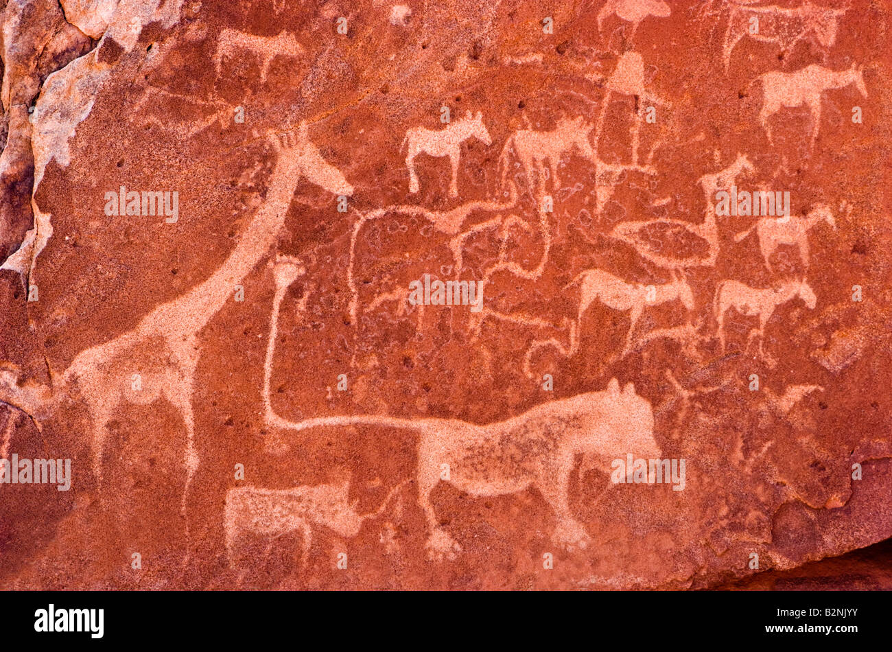 Ancient Rock Art in Twyfelfontein, Namibia Stock Photo - Alamy