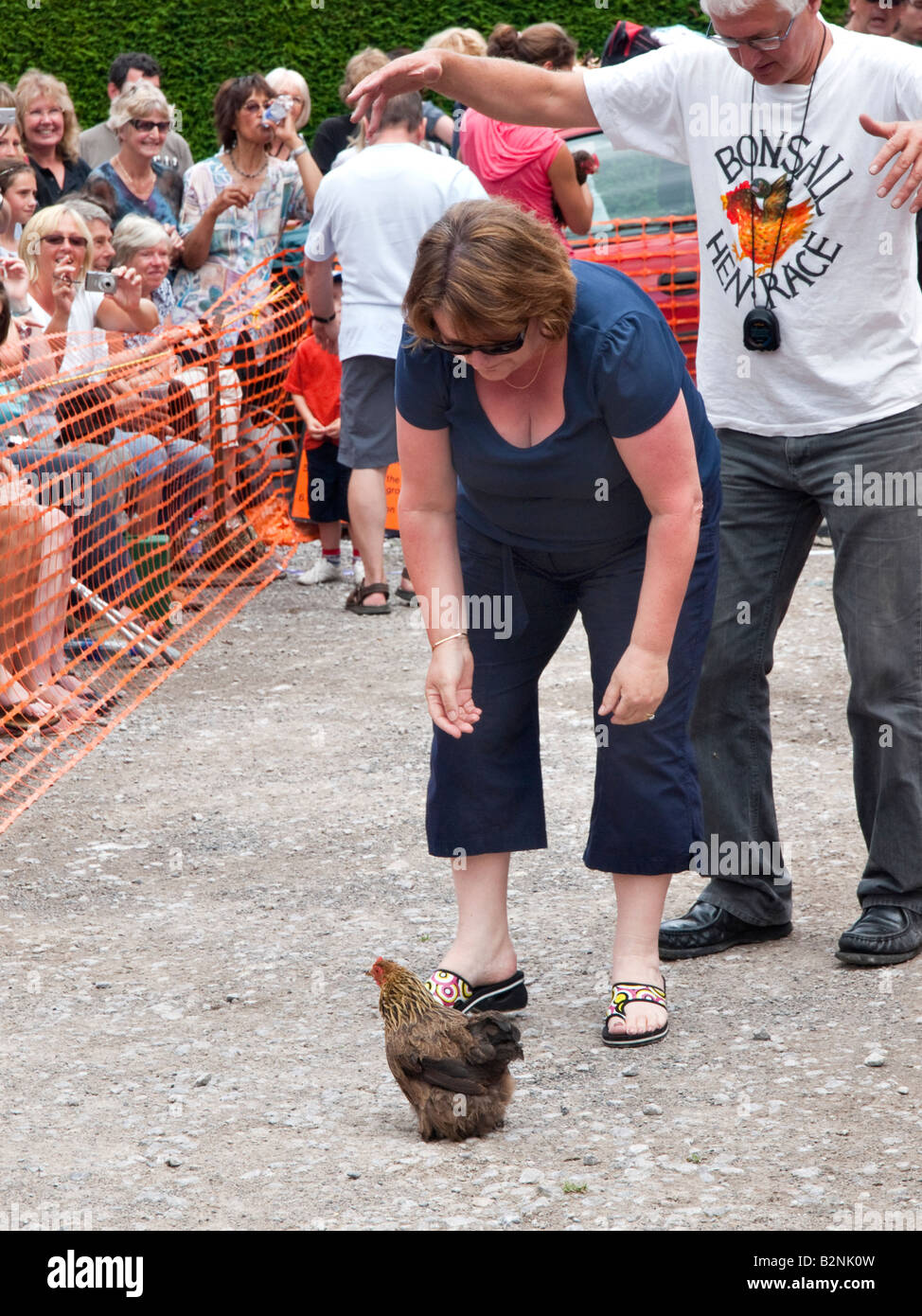 Chicken racing hi-res stock photography and images - Alamy