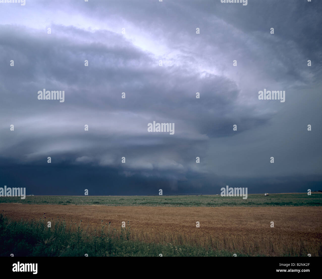 A supercell thunderstorm over fields in Texas, USA Stock Photo - Alamy