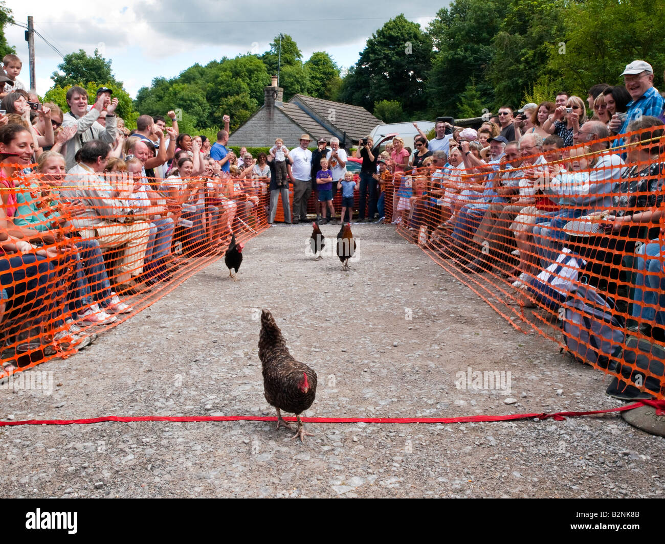 World championship hen racing hi-res stock photography and images - Alamy