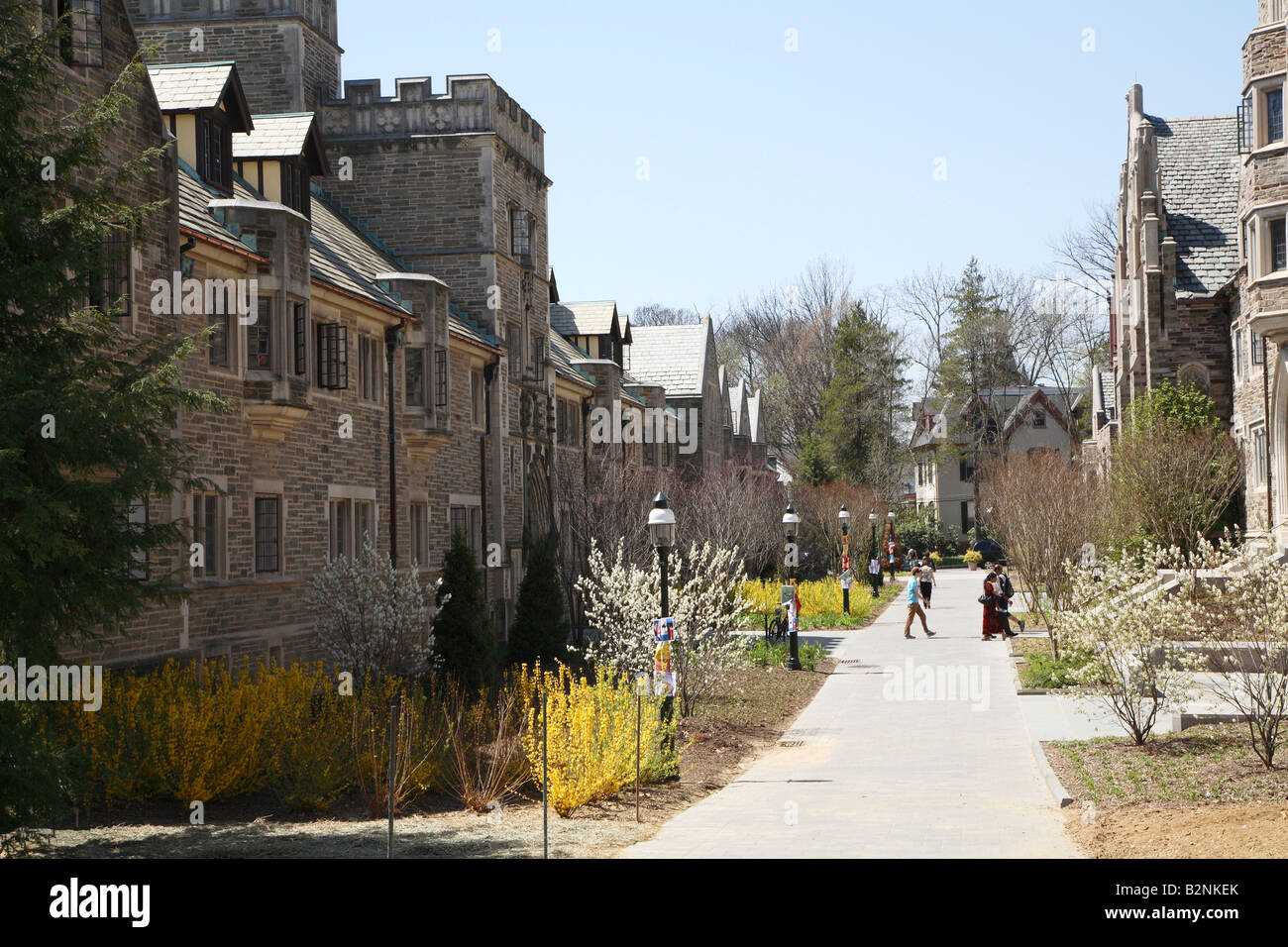 Broad flagstone walkway between Joline Hall and Holder Hall at ...