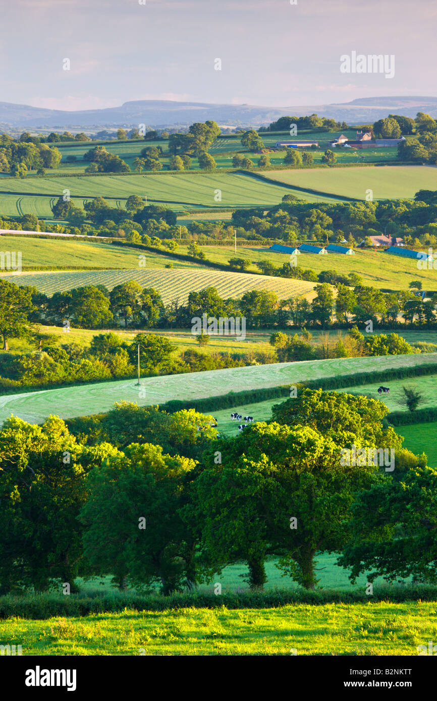 Early summer in england hi-res stock photography and images - Alamy