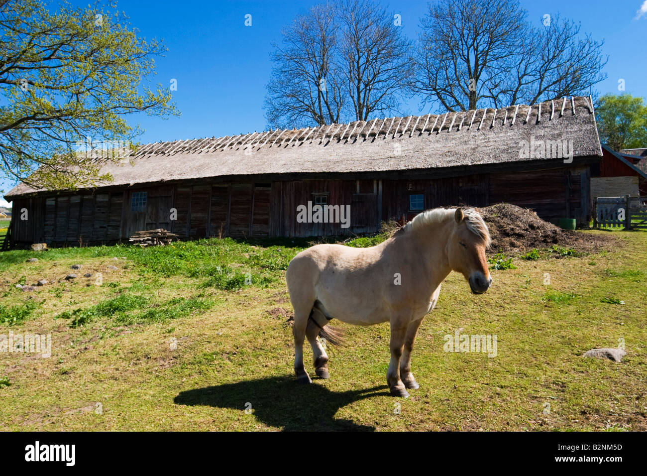Fjording hi-res stock photography and images - Alamy