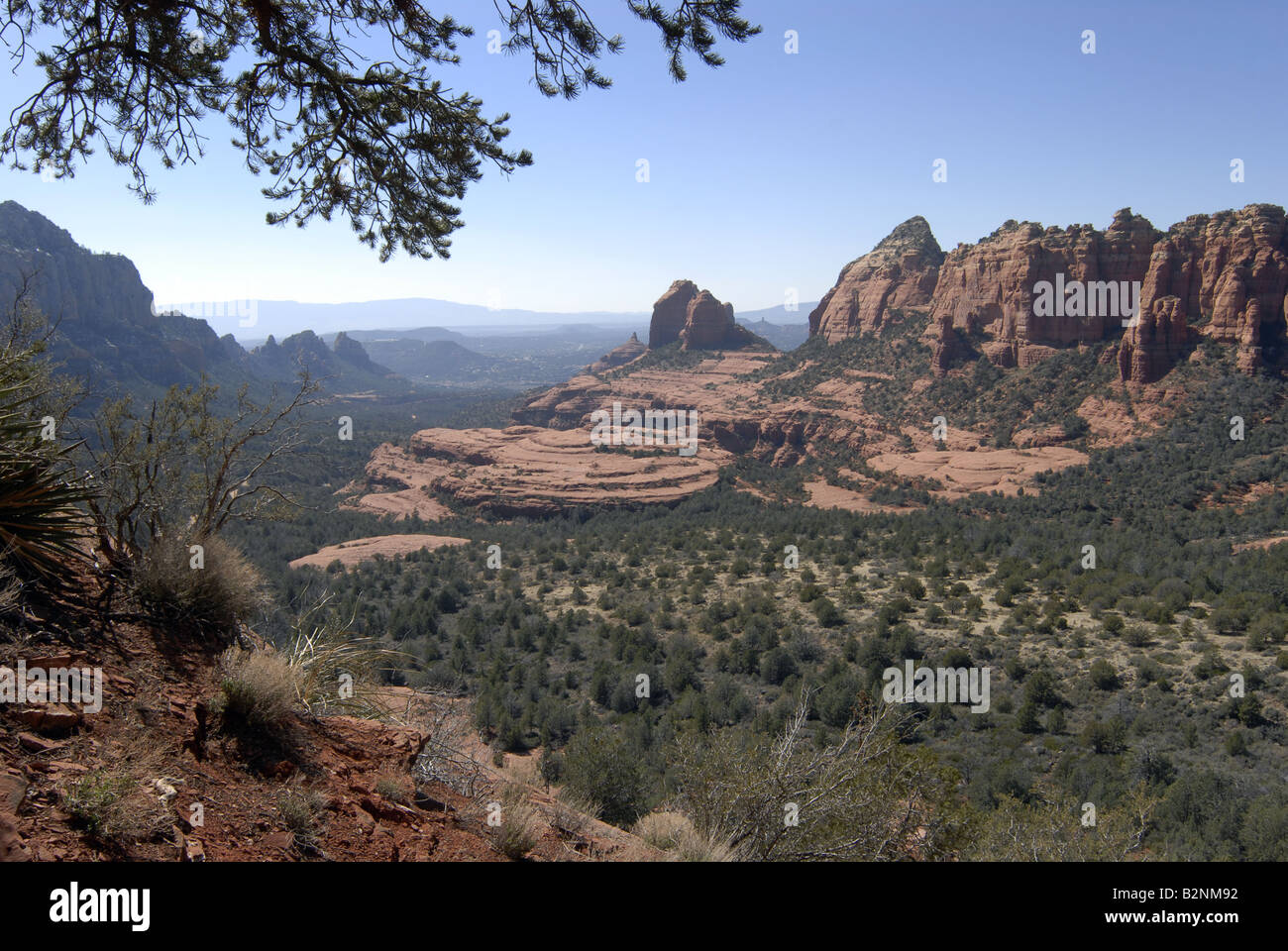 Red rocks surround Sedona Arizona Stock Photo - Alamy