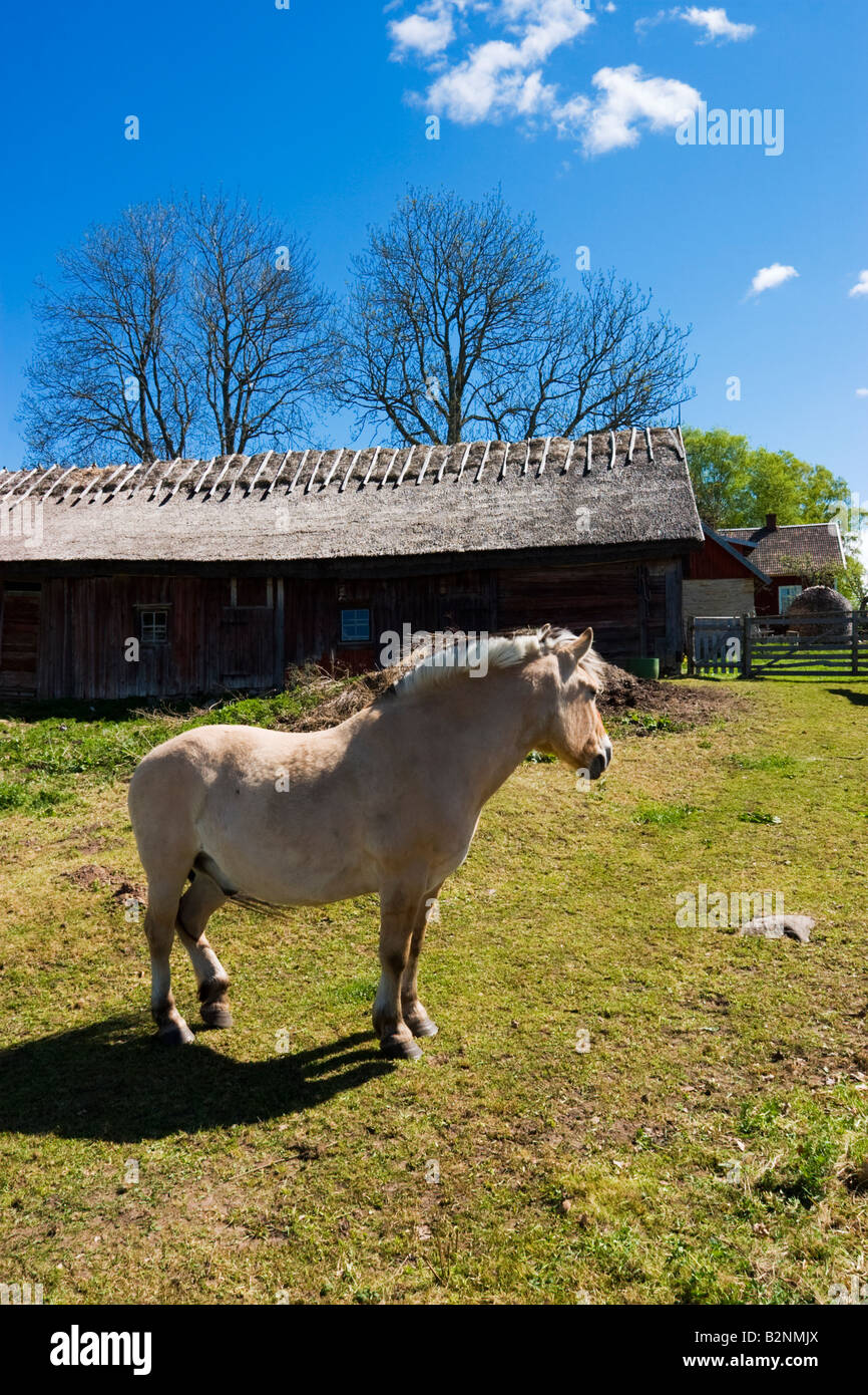 Fjording hi-res stock photography and images - Alamy