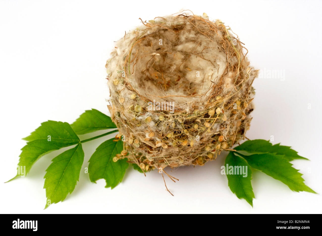 Empty symbol horizontal hi-res stock photography and images - Alamy