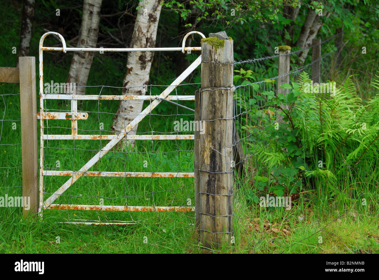 Gate pathway hi-res stock photography and images - Alamy