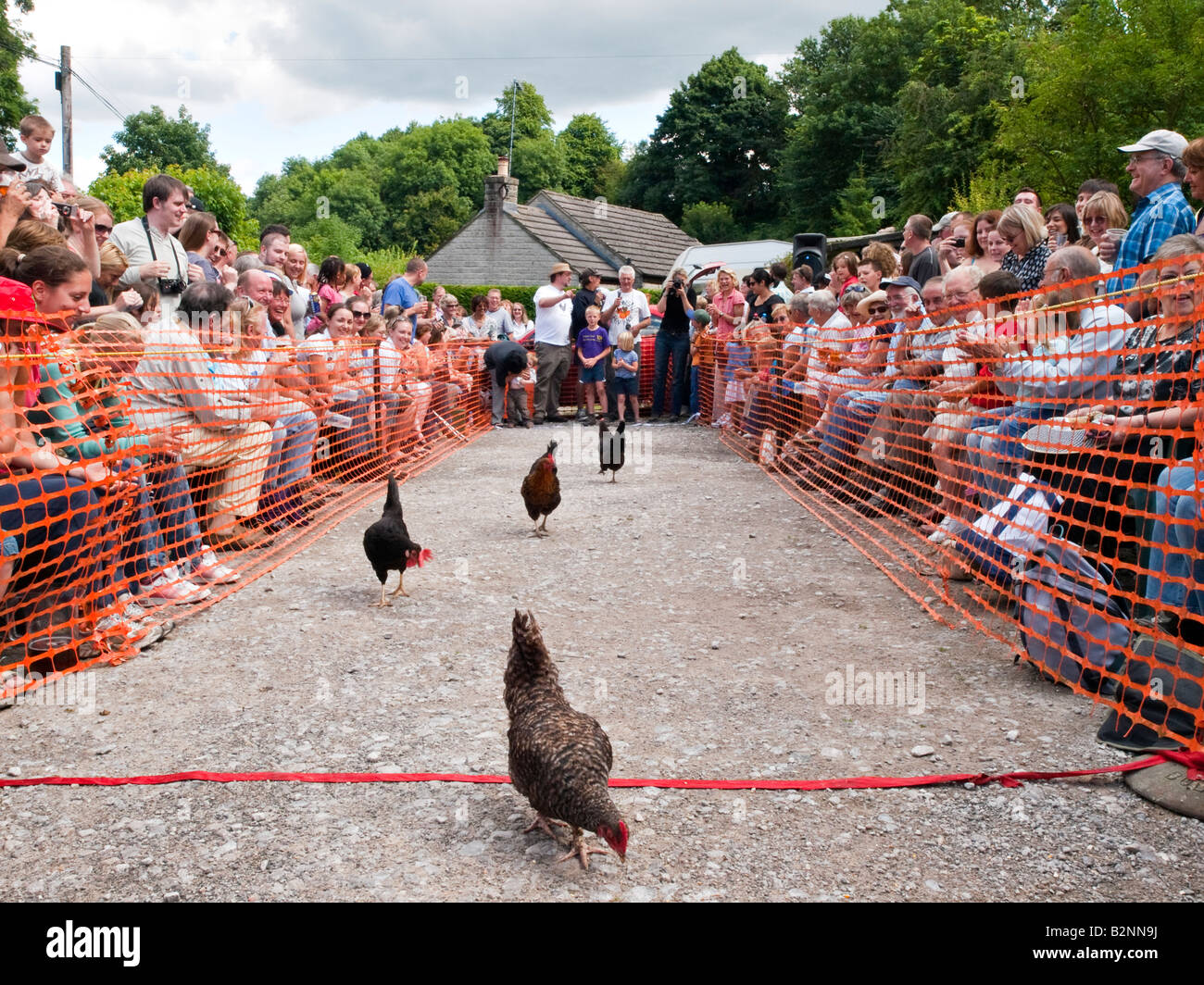 World Championship Hen Races 2008 Stock Photo - Alamy
