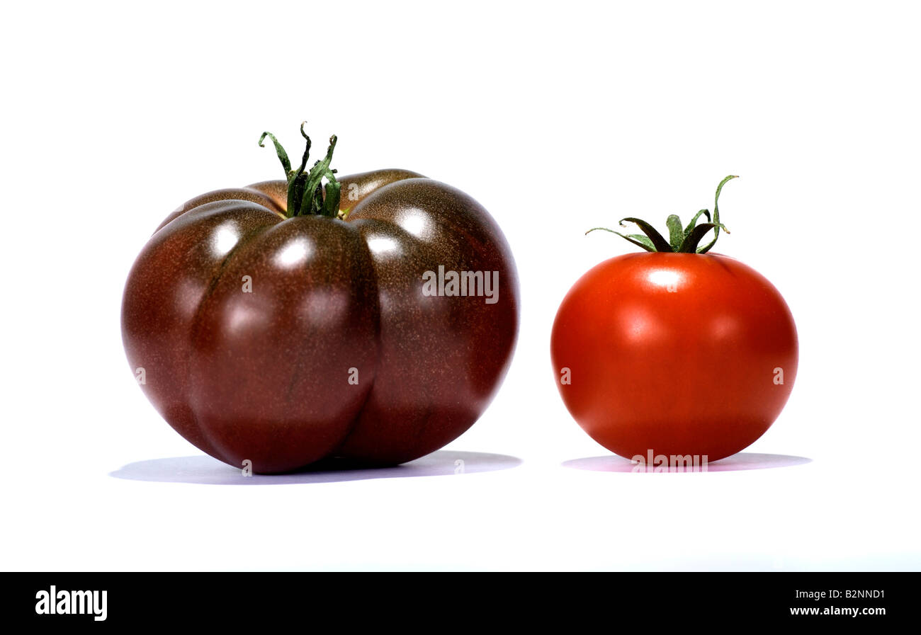 Tomatoes Noire de Crimee Tomato Dark Red Purplish Black originally from ...