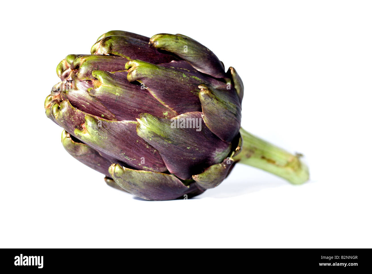 Artichoke still life hi-res stock photography and images - Alamy