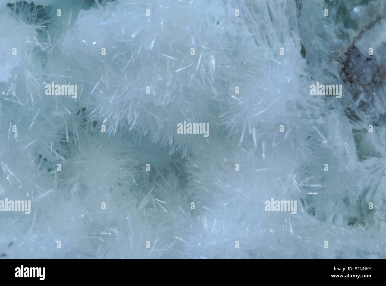 Rare New Mineral Skorpionite's needle-like crystals Stock Photo - Alamy