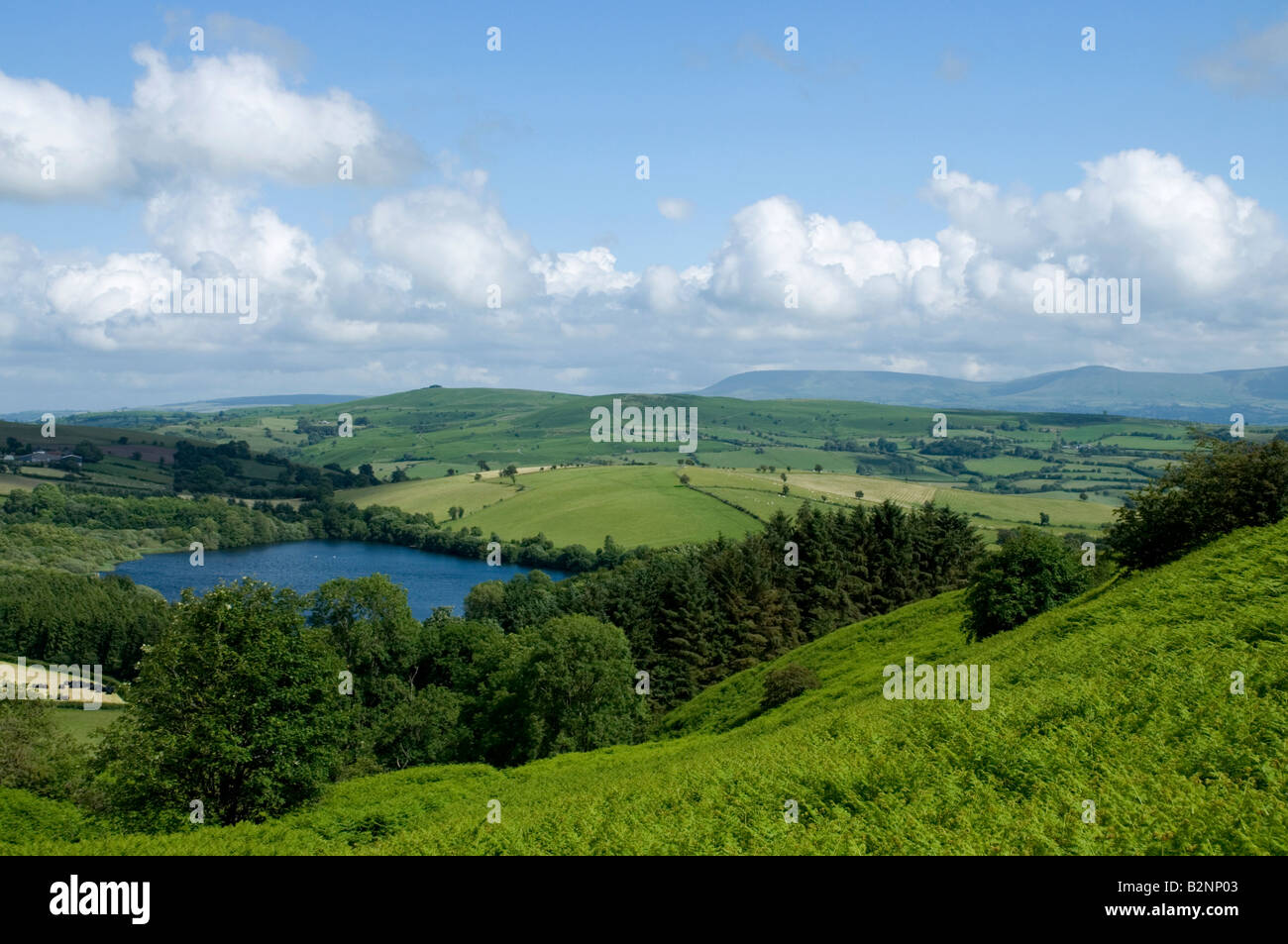 Black Mountains and Hay Bluff Stock Photo - Alamy