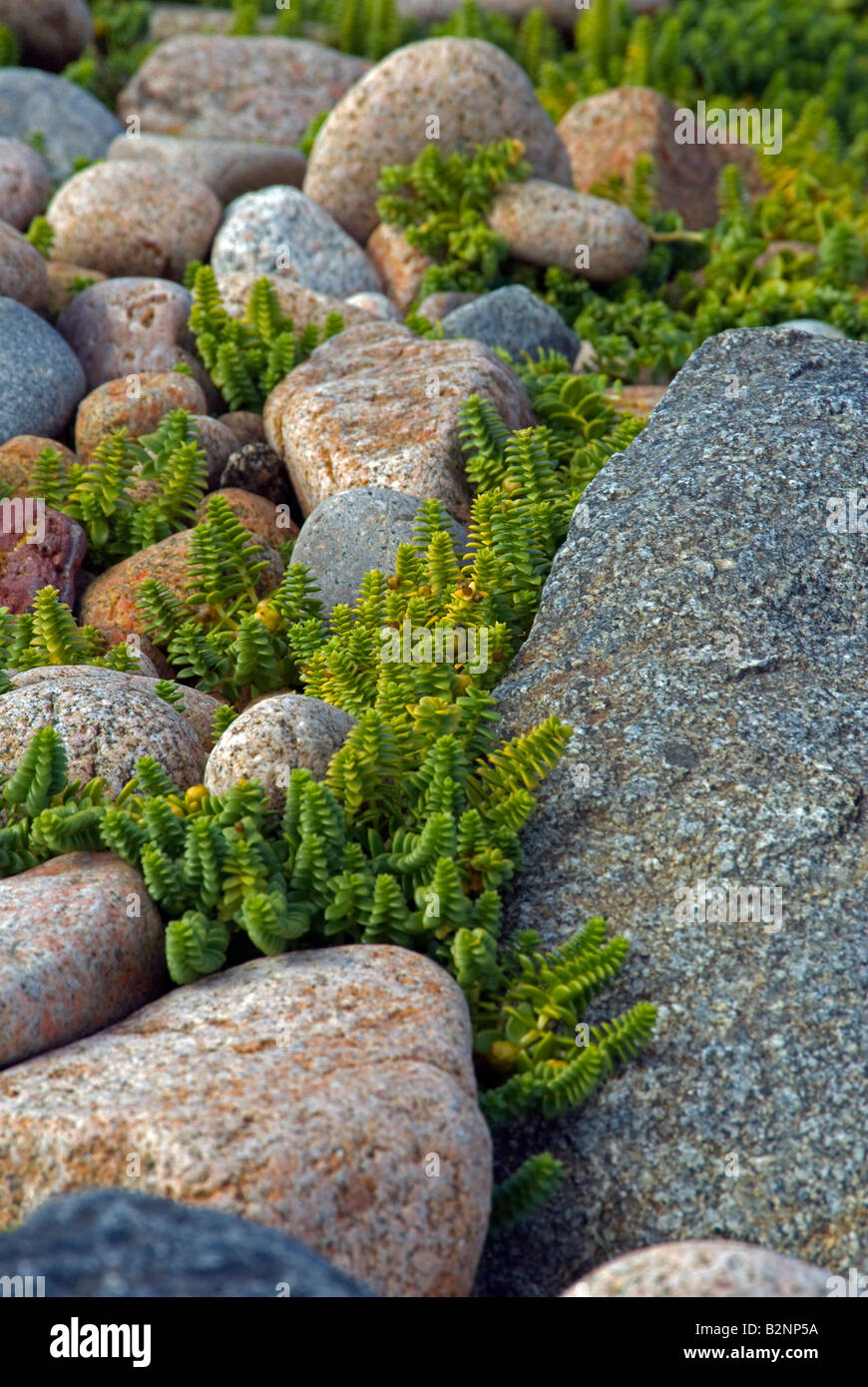 Resistant rocks hi-res stock photography and images - Alamy
