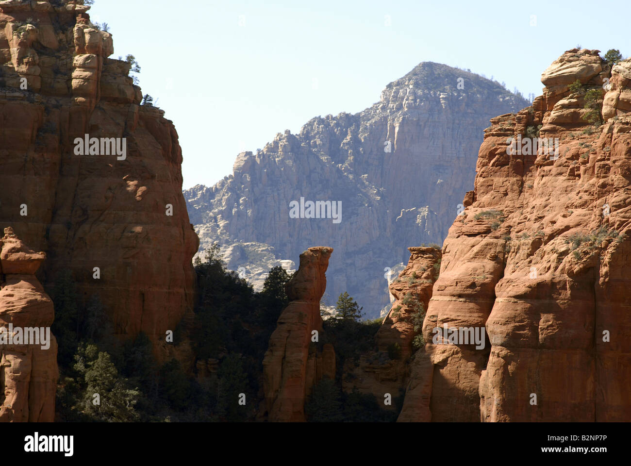 Red rocks surround Sedona Arizona Stock Photo - Alamy