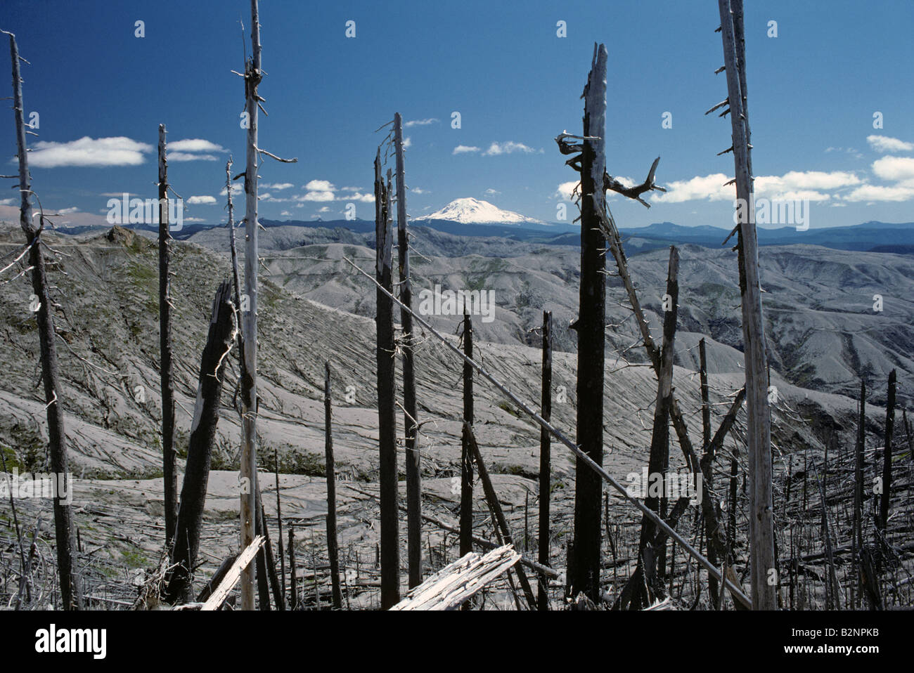 Devestated landscape hi-res stock photography and images - Alamy