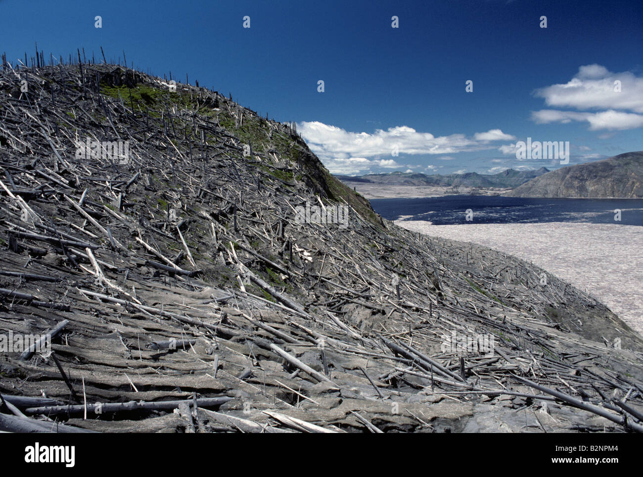 Mount Saint Helens after the volcanic eruptions looking at the ...