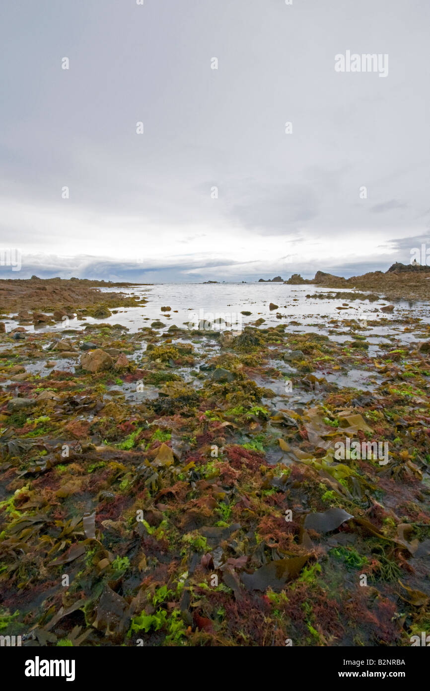 Guernsey viewpoint hi-res stock photography and images - Alamy