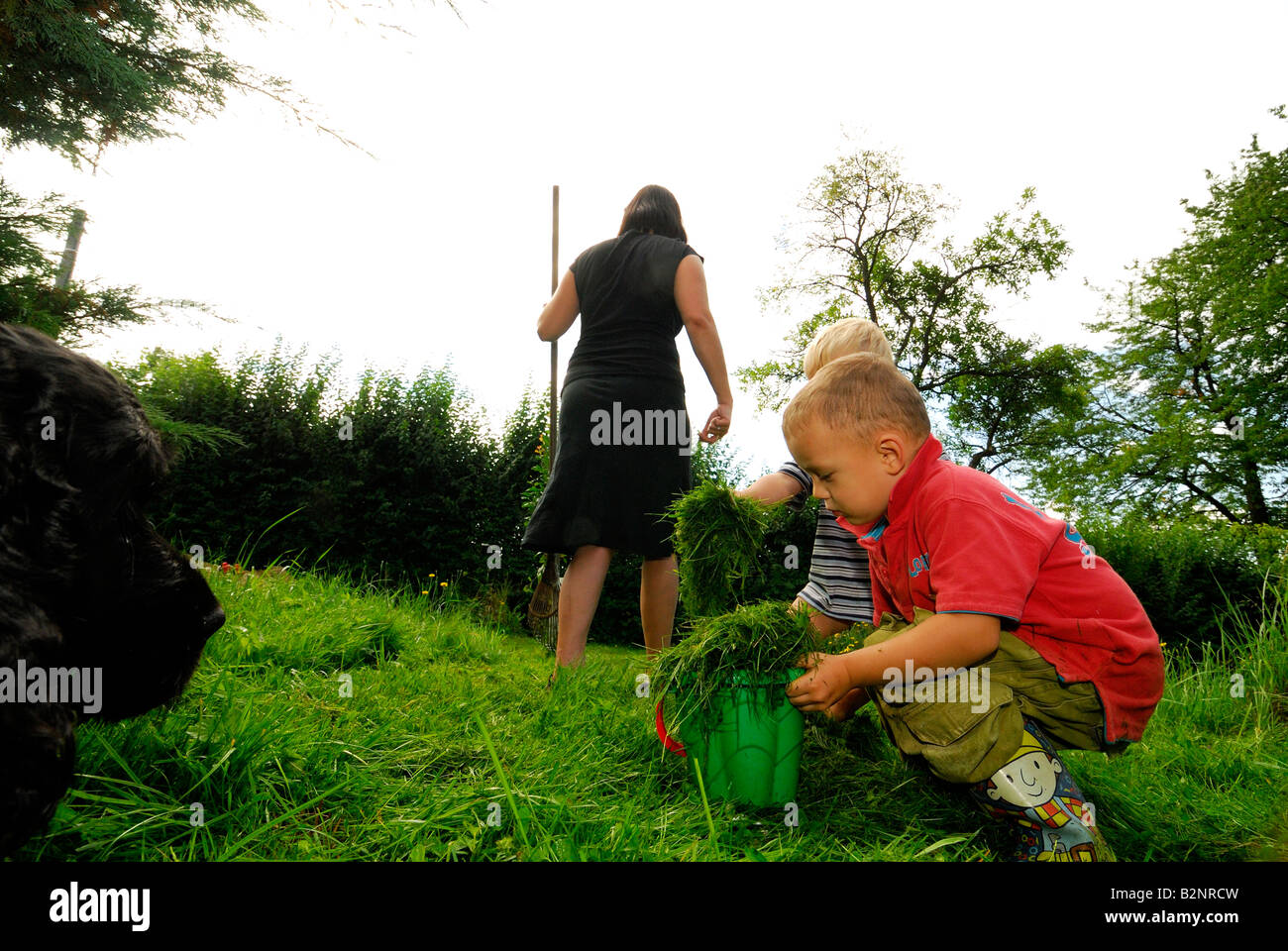 Children gardening with rake hi-res stock photography and images - Alamy