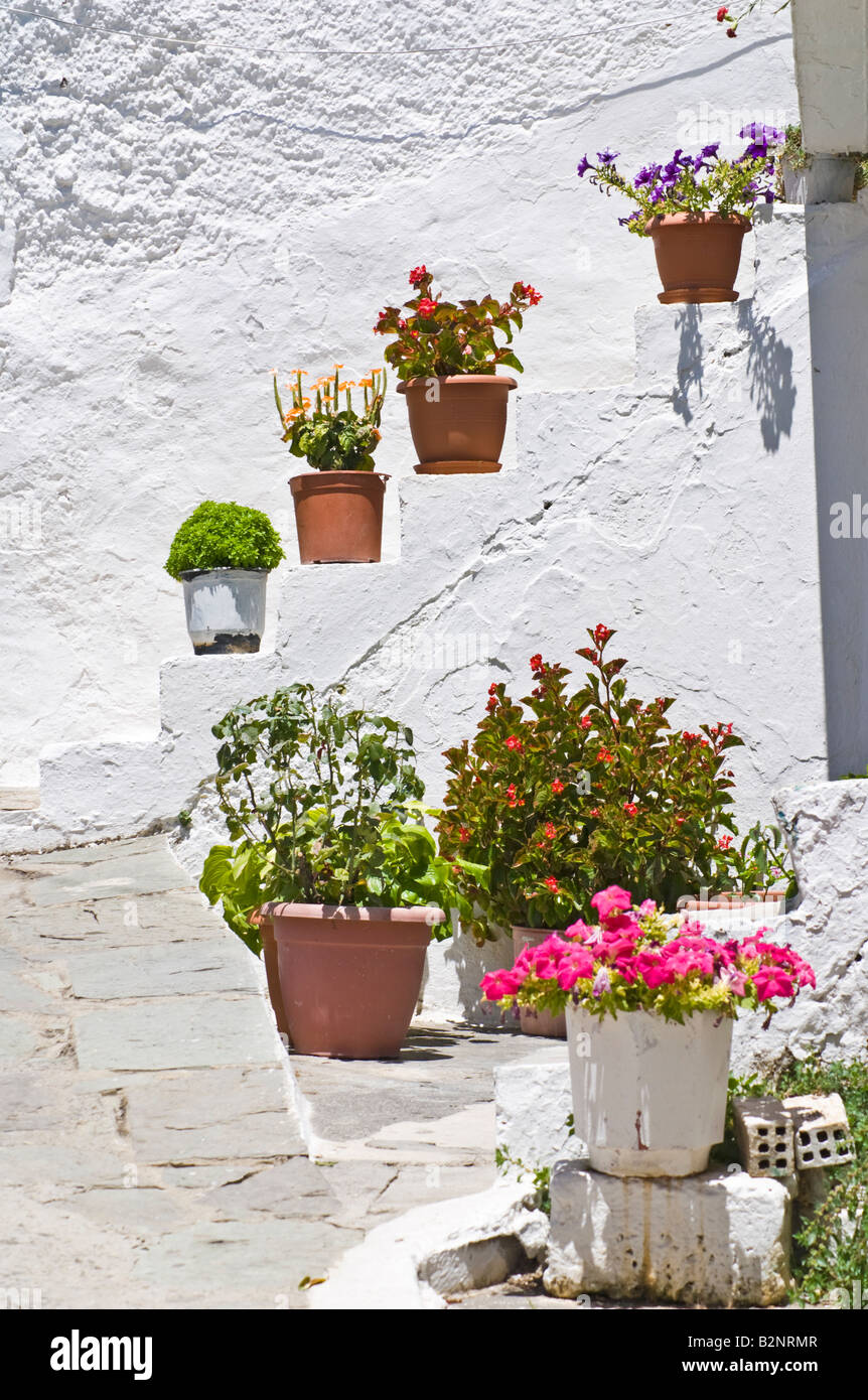 Anogia, Crete, Greece. Whitewashed house and Potted Plants Stock Photo ...