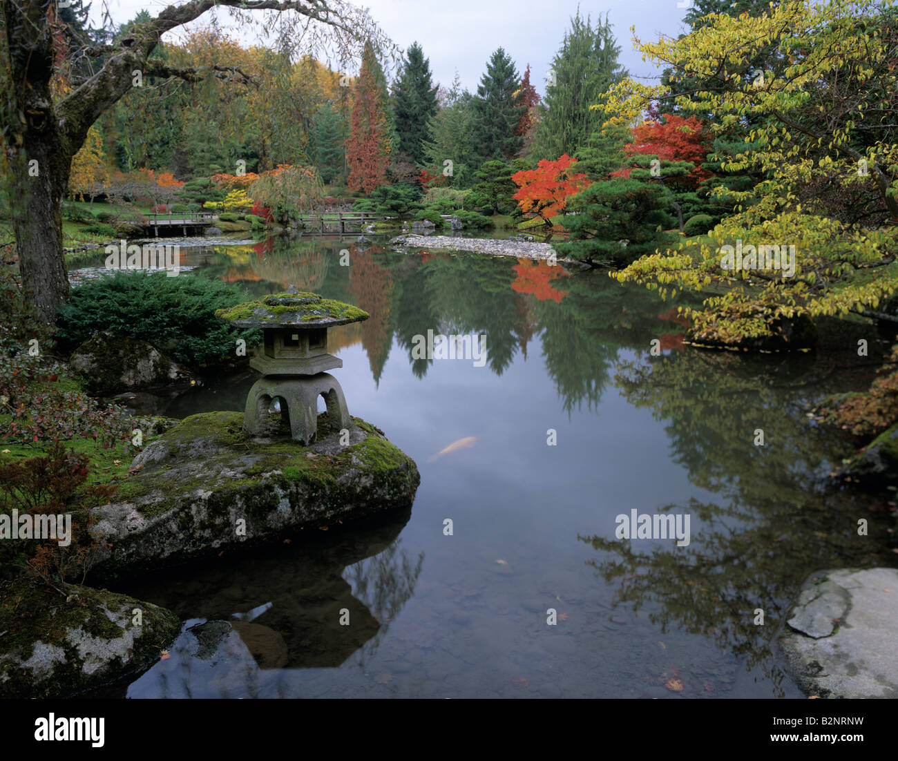 Japanese Tea garden University of Washington arboretum with stone ...