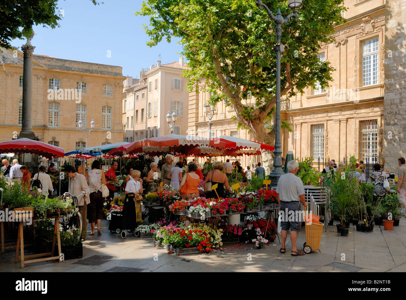 Markets Of Provence France