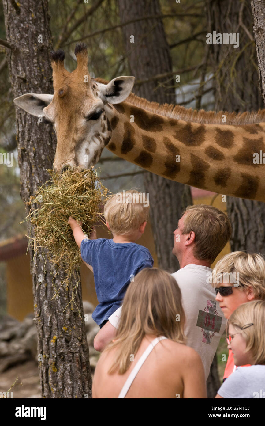 Costa Blanca Spain Aitana Safari park near Benidorm and Alicante ...