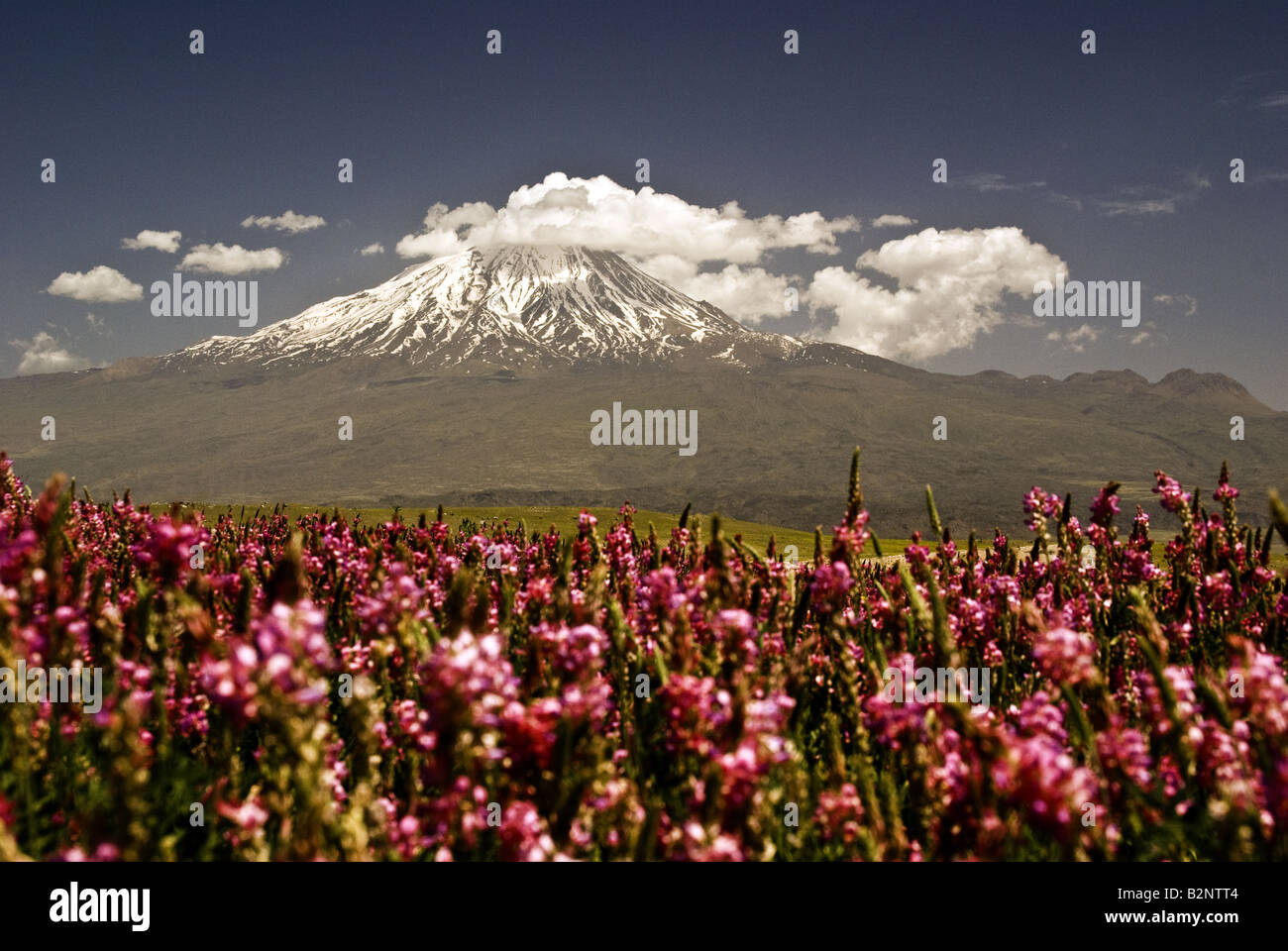 Mount Ararat, snow-capped dormant volcano and site of Noah's ark ...