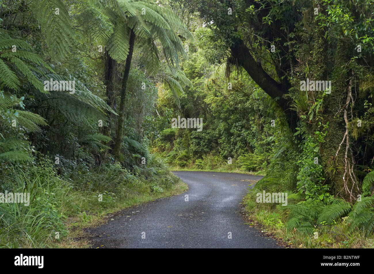 Very narrow road hi-res stock photography and images - Alamy
