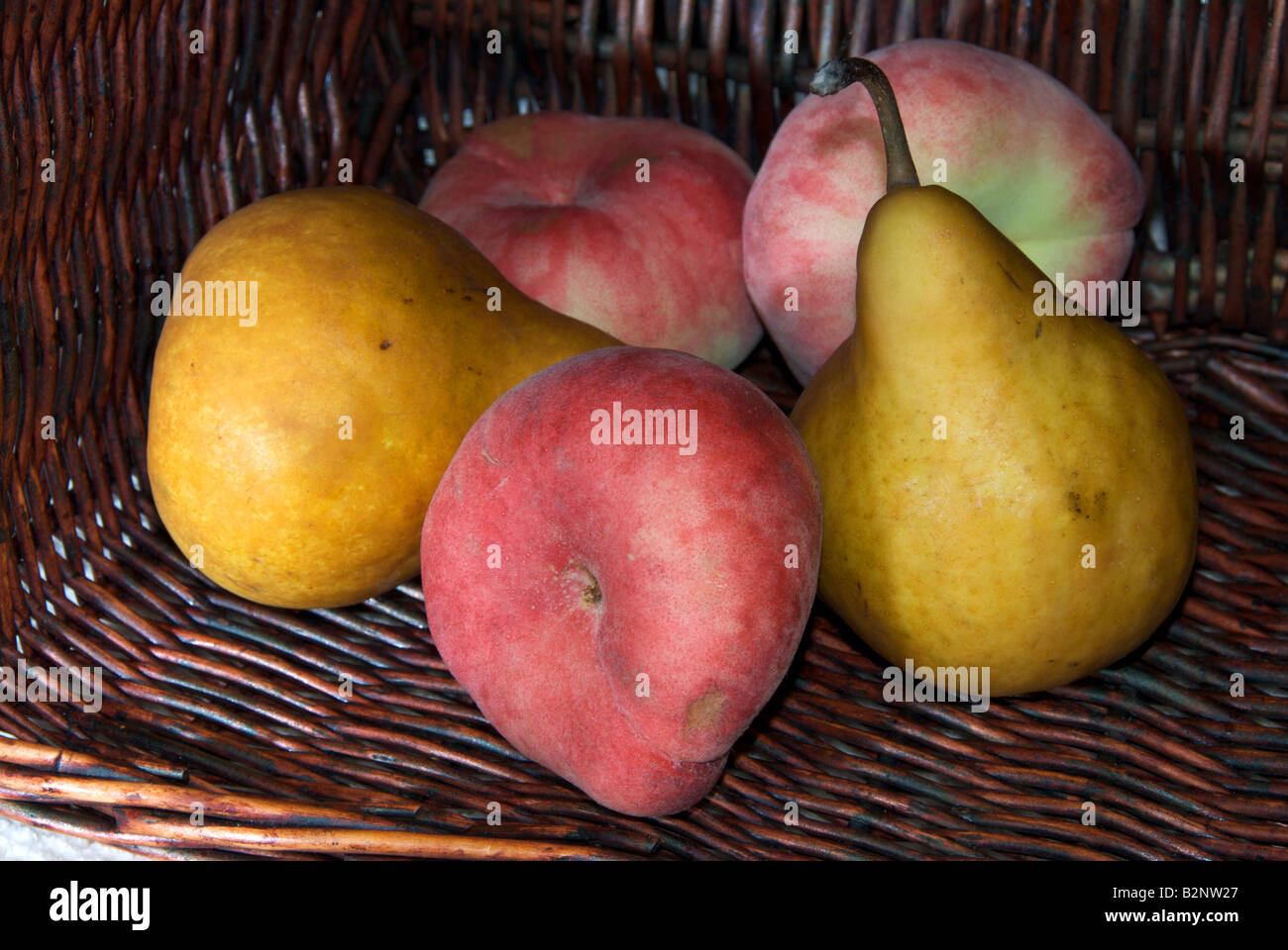 Basket of Flat Peaches and Russet Pears Stock Photo - Alamy