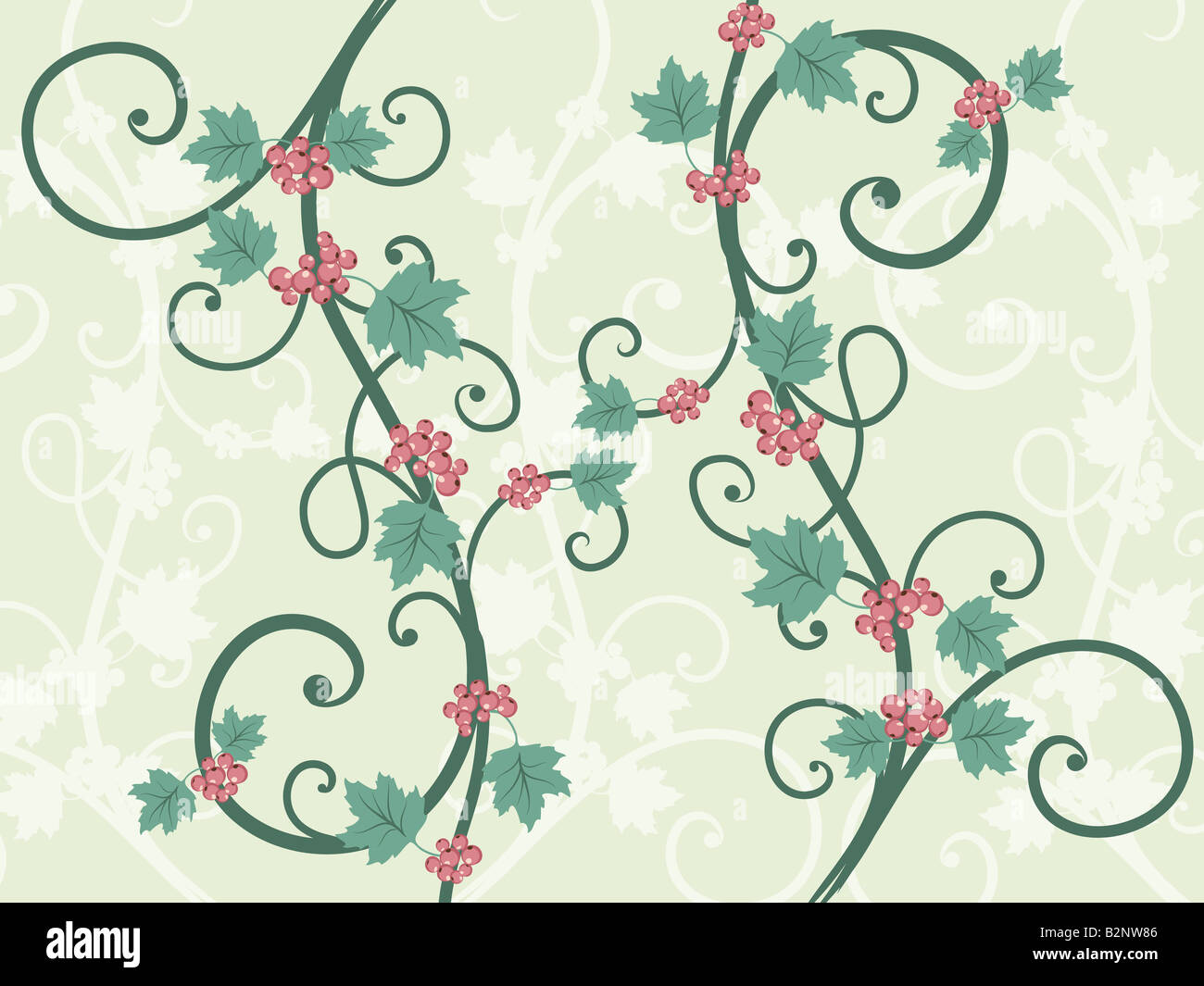 Decorative vines hi-res stock photography and images - Alamy