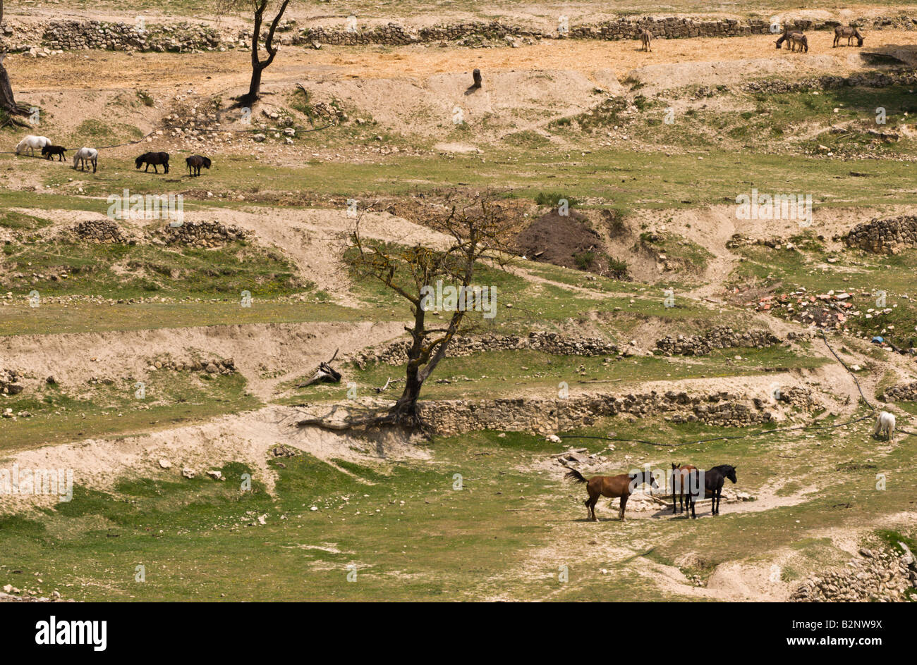 Costa blanca spain aitana safari hi-res stock photography and images ...