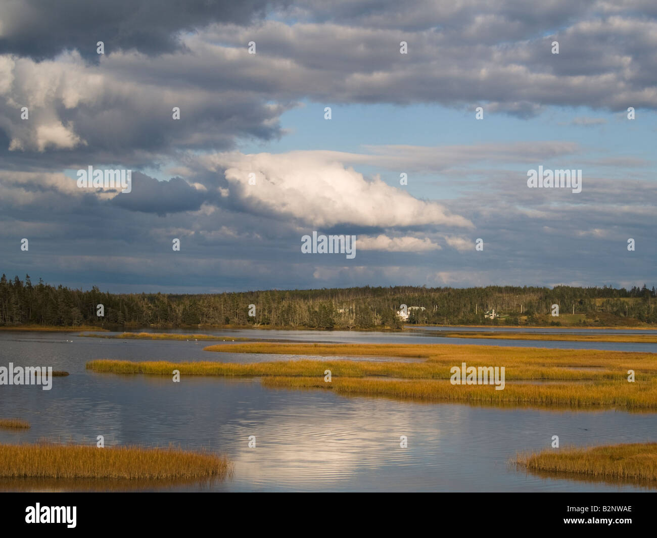 Salt marsh trail canada hi-res stock photography and images - Alamy