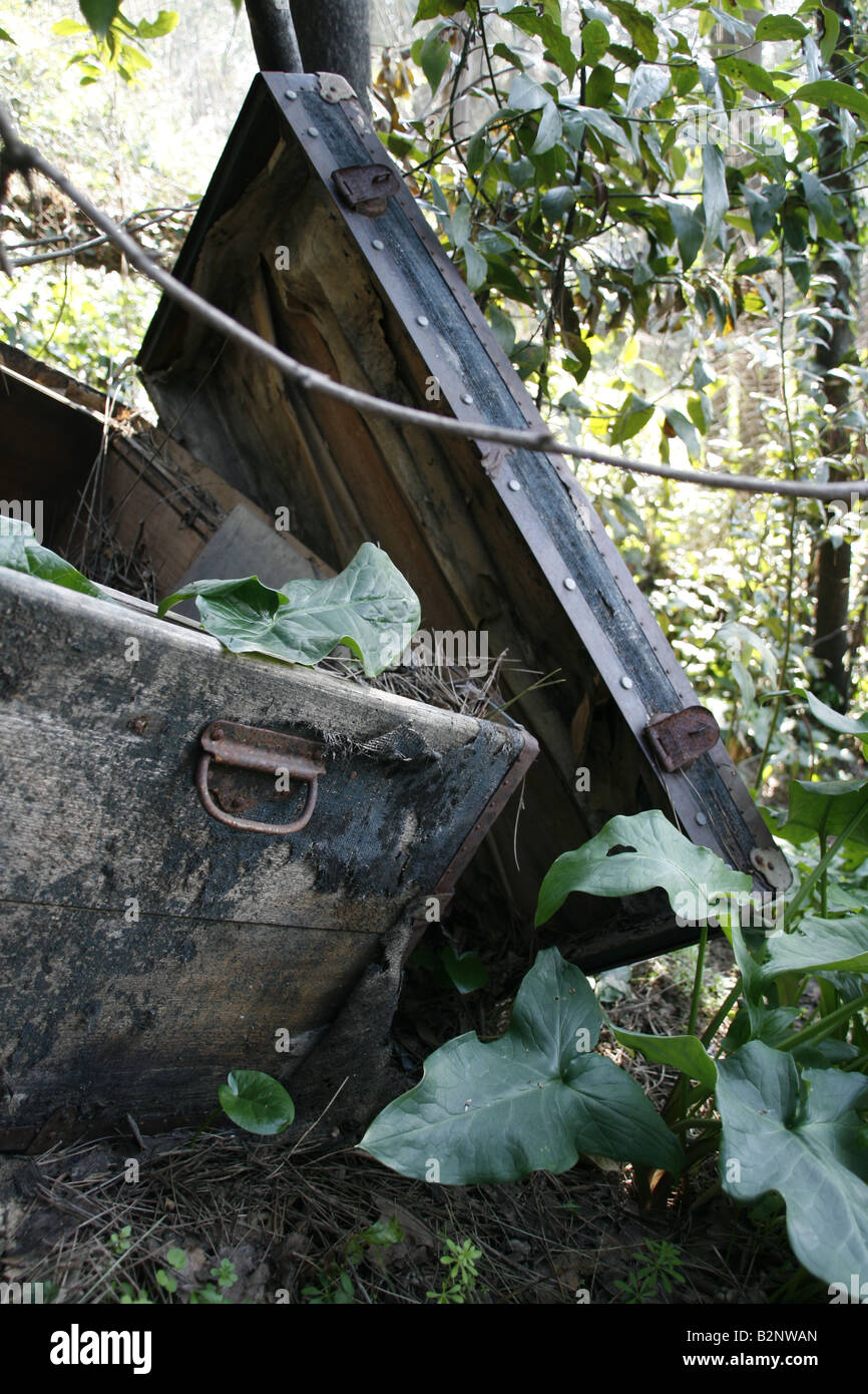 Chest thrown out hi-res stock photography and images - Alamy