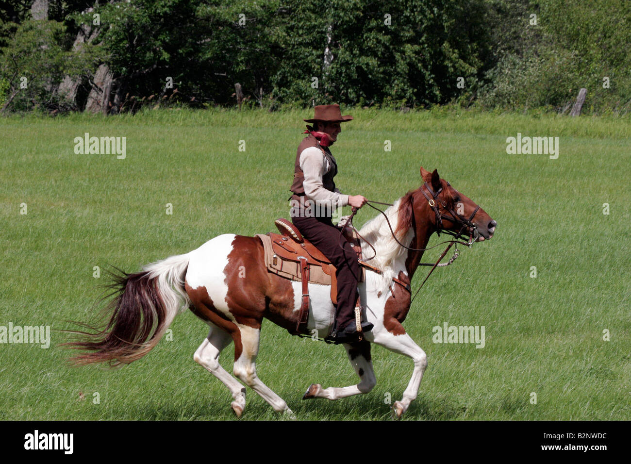 A cowboy galloping across a field Stock Photo - Alamy