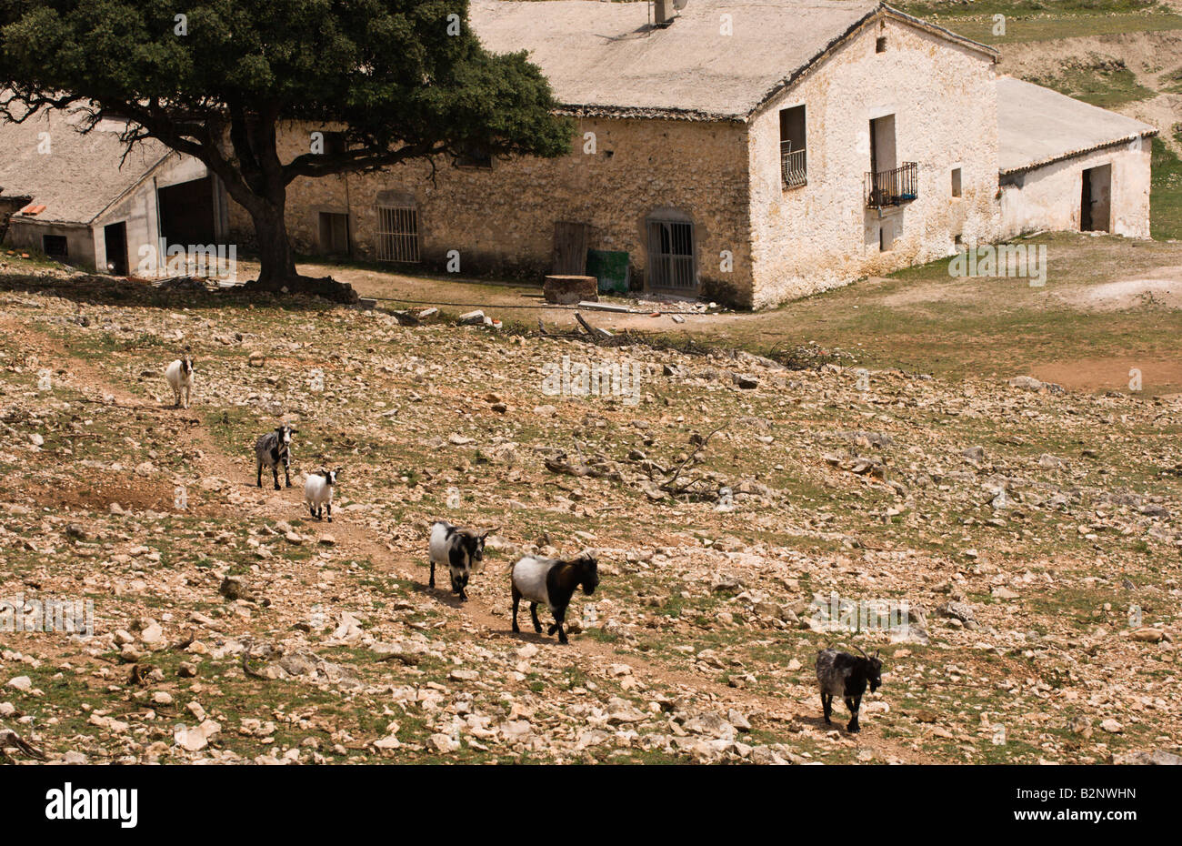 Costa Blanca Spain Aitana Safari park near Benidorm and Alicante ...
