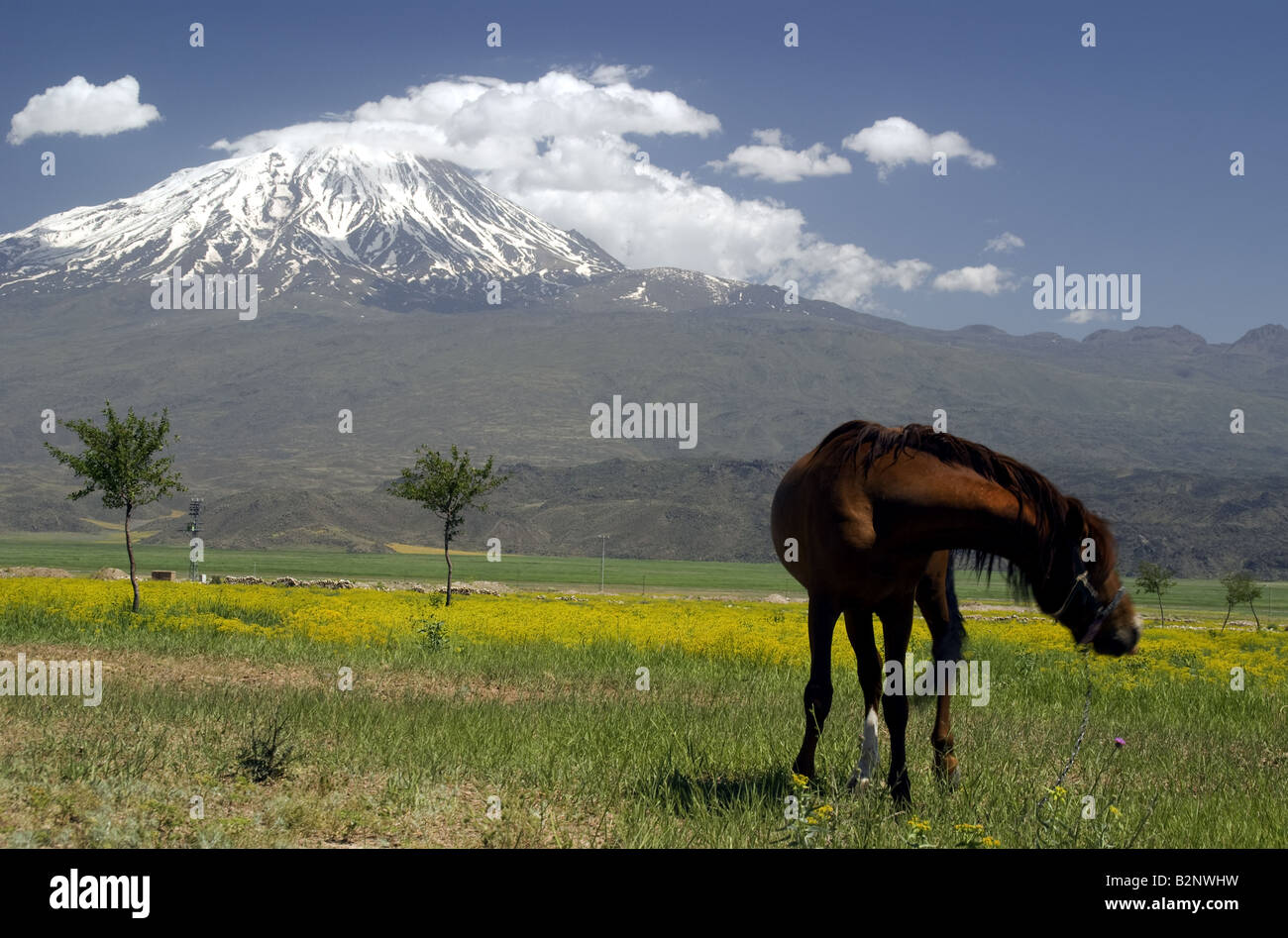 Mount Ararat, snow-capped dormant volcano and site of Noah's Ark ...