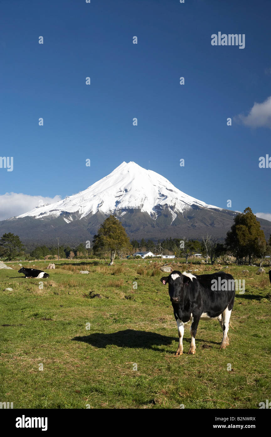Taranaki inglewood hi-res stock photography and images - Alamy