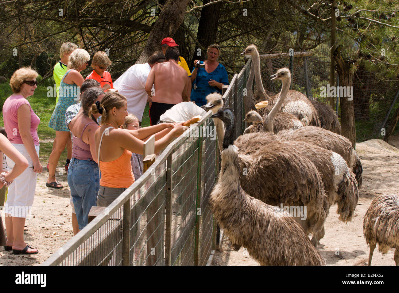 Costa Blanca Spain Aitana Safari park near Benidorm and Alicante ...