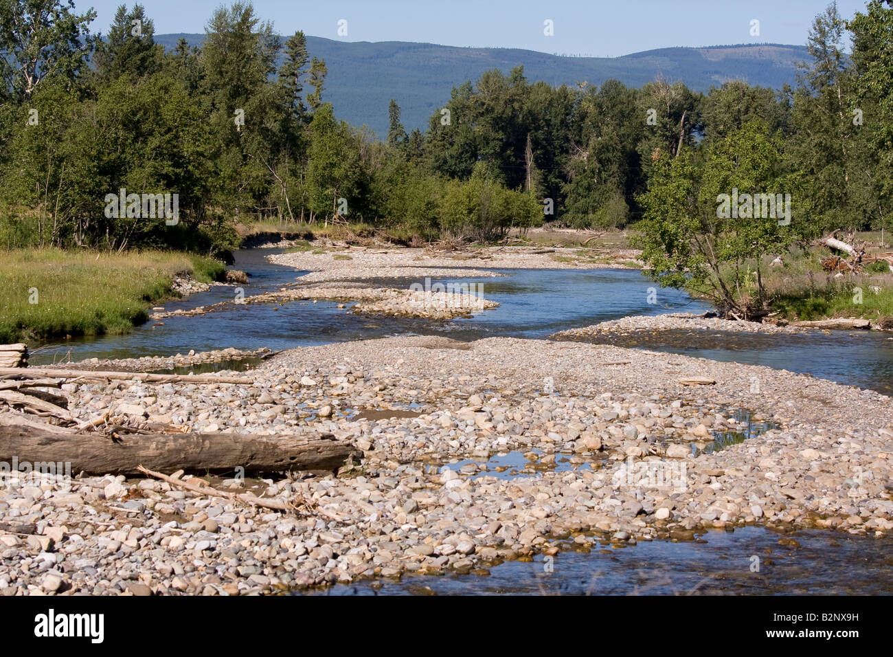Stream in southeastern British Columbia Stock Photo - Alamy