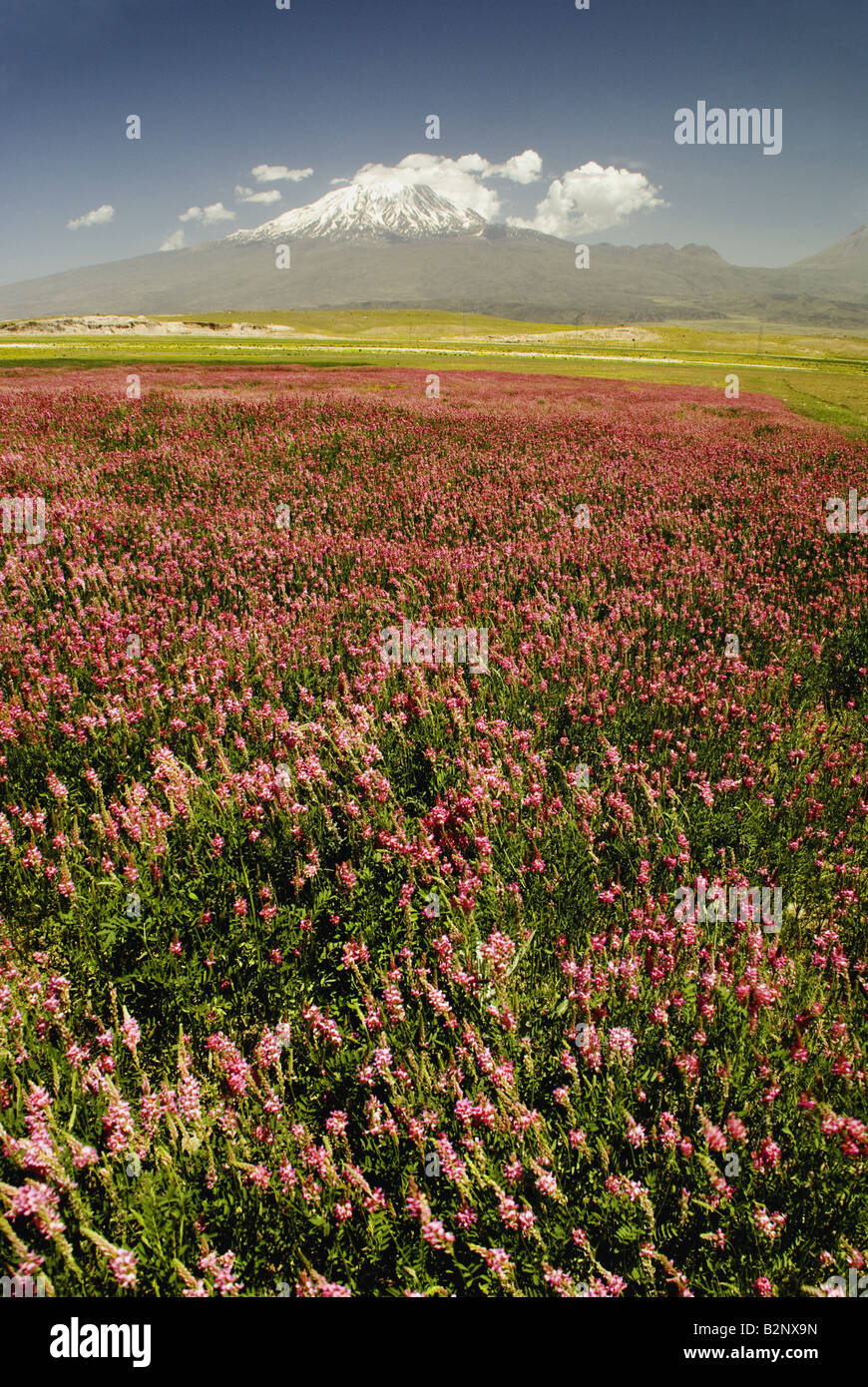 Mount Ararat, snow-capped dormant volcano, and site of Noah's ark ...
