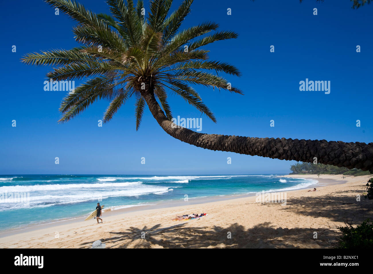Couple on beach Sunset Beach North Shore Oahu Hawaii Stock Photo - Alamy