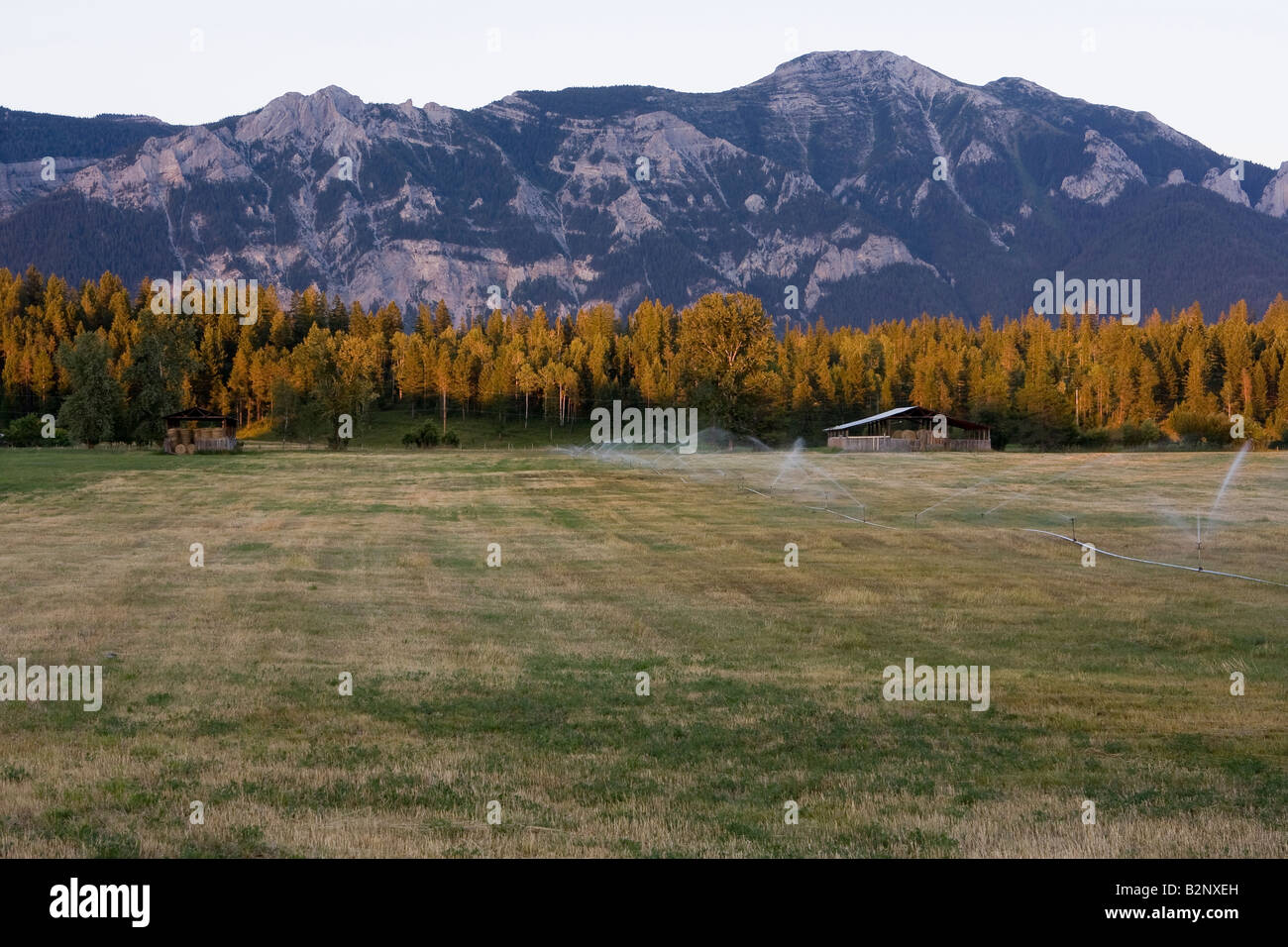 British farm sunset hi-res stock photography and images - Alamy