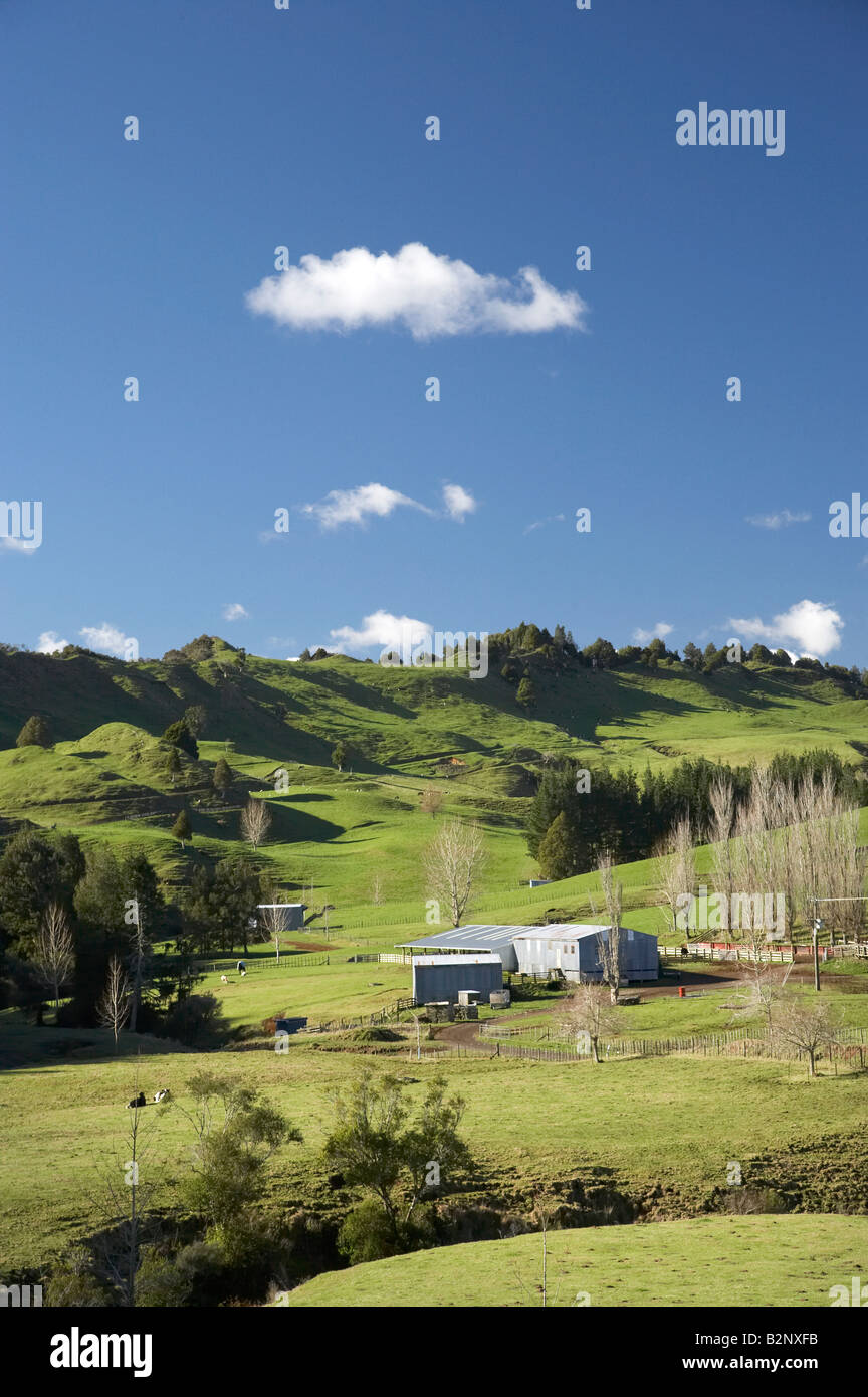 Wool shed new zealand hi-res stock photography and images - Alamy