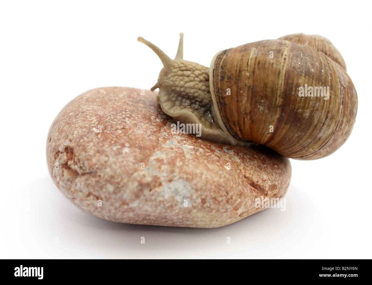 Motion stone hi-res stock photography and images - Alamy