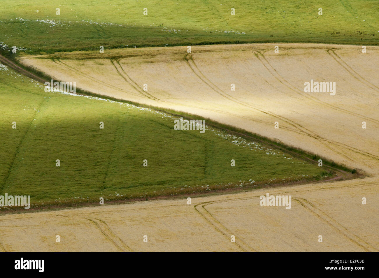 Fields near Inverbervie, Aberdeenshire, Scotland, UK Stock Photo - Alamy