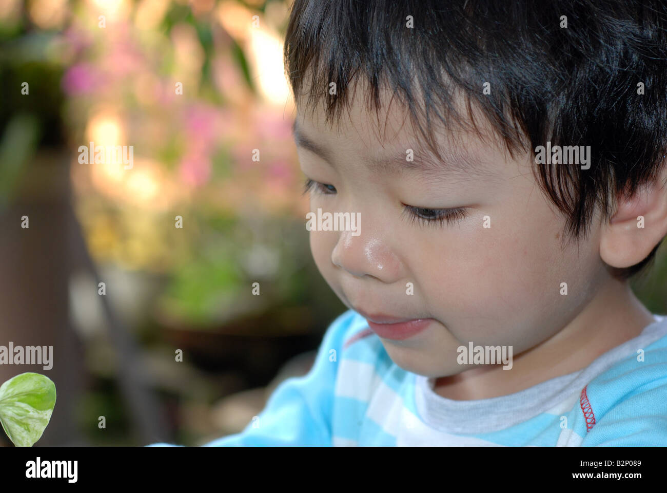 Toddler face closeup Stock Photo - Alamy