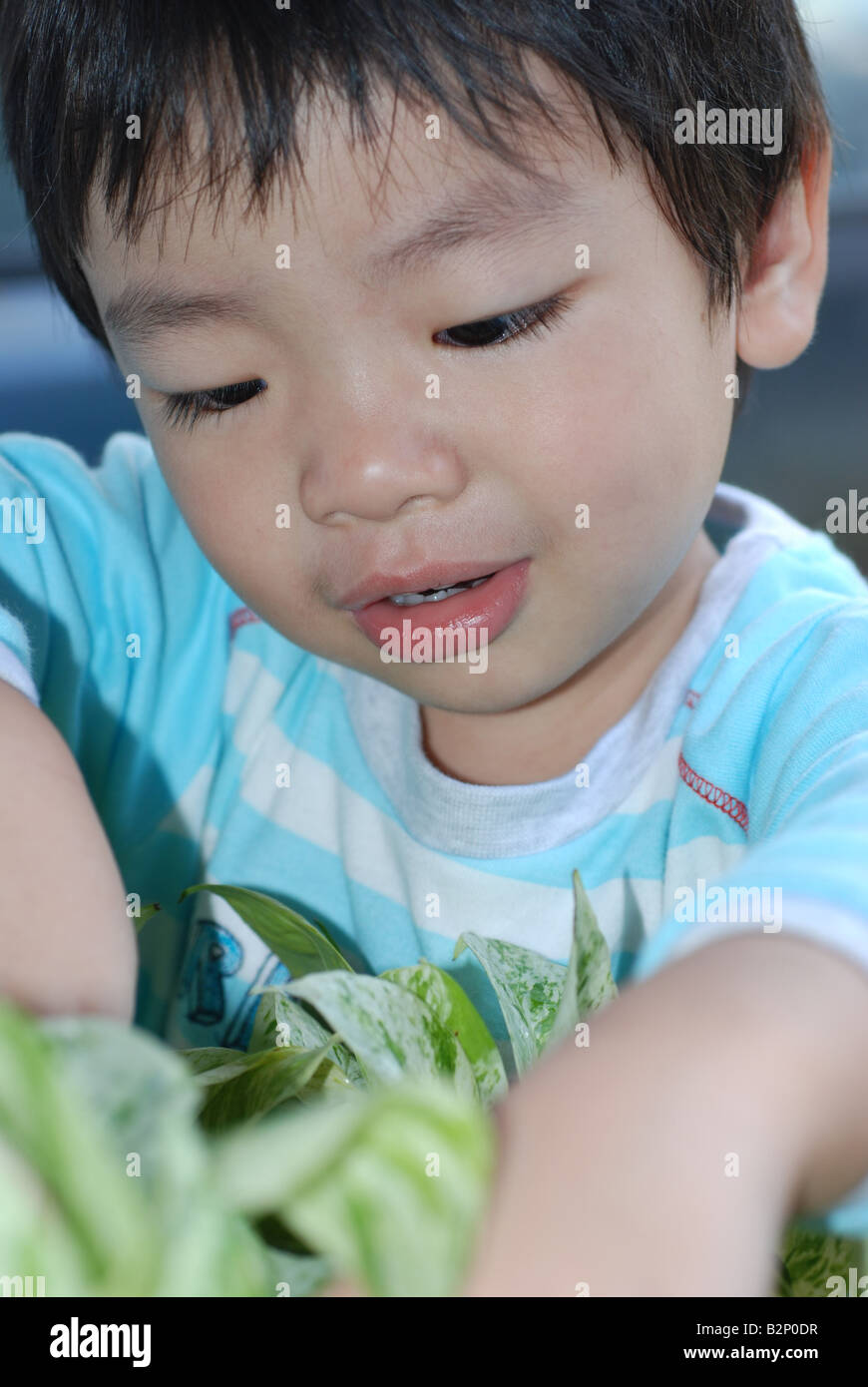 Toddler smiling face closeup Stock Photo - Alamy