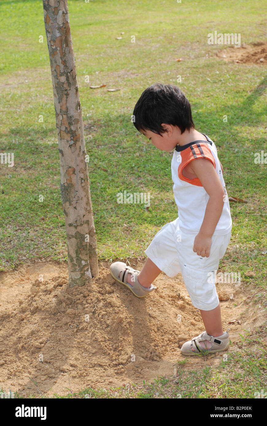 Toddler stepping on soil near tree trunk Stock Photo - Alamy