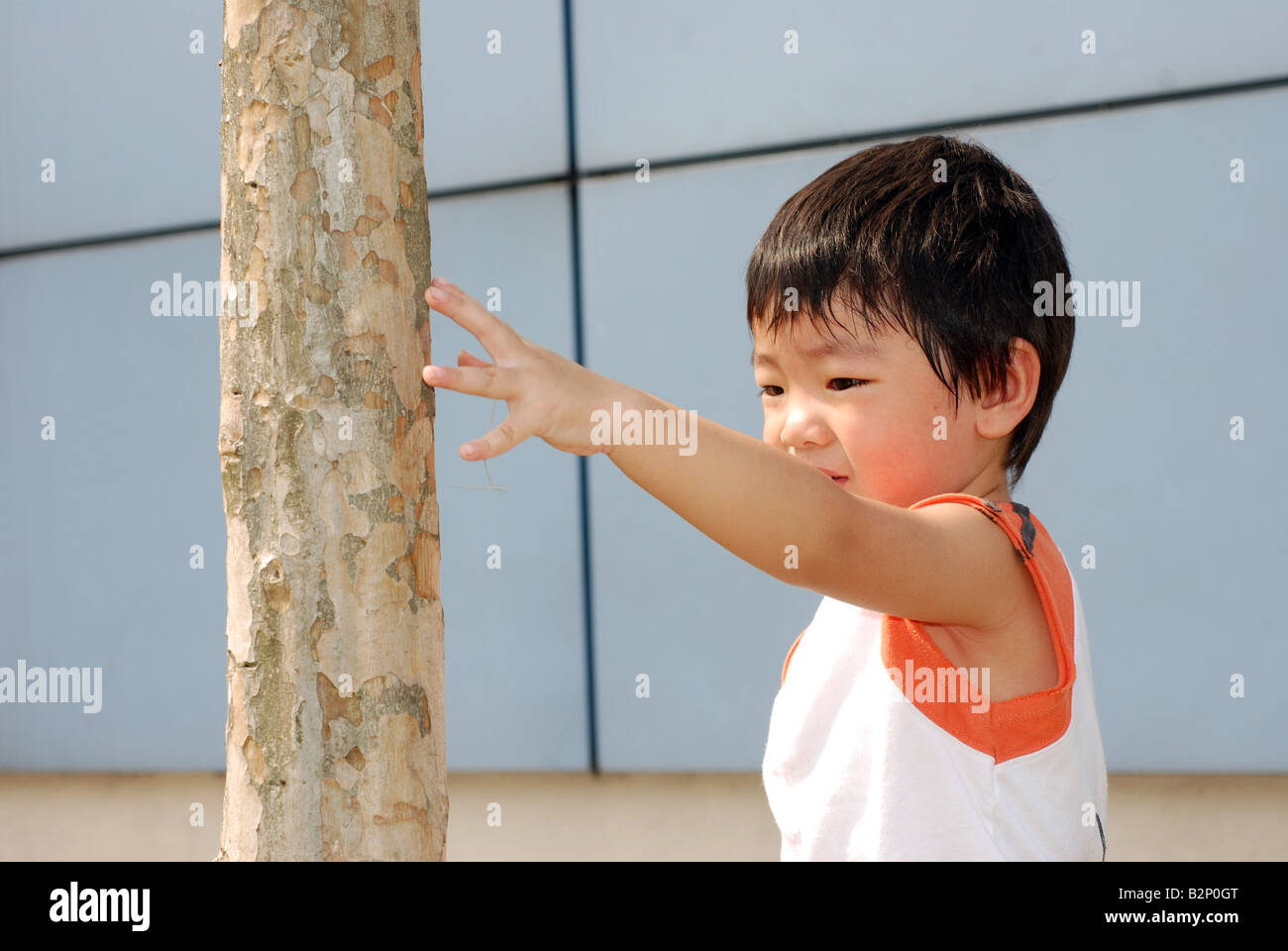 Toddler touching tree trunk curiously Stock Photo - Alamy