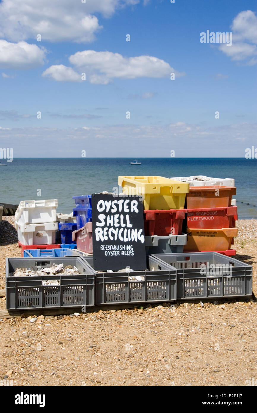 Shell recycling hi-res stock photography and images - Alamy